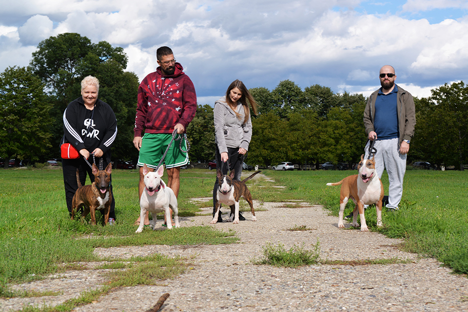 X. Central European Bull Terrier Club & Trophy Show, Tata, Hungary ...