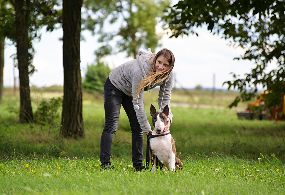X. Central European Bull Terrier Club & Trophy Show, Tata, Hungary ...